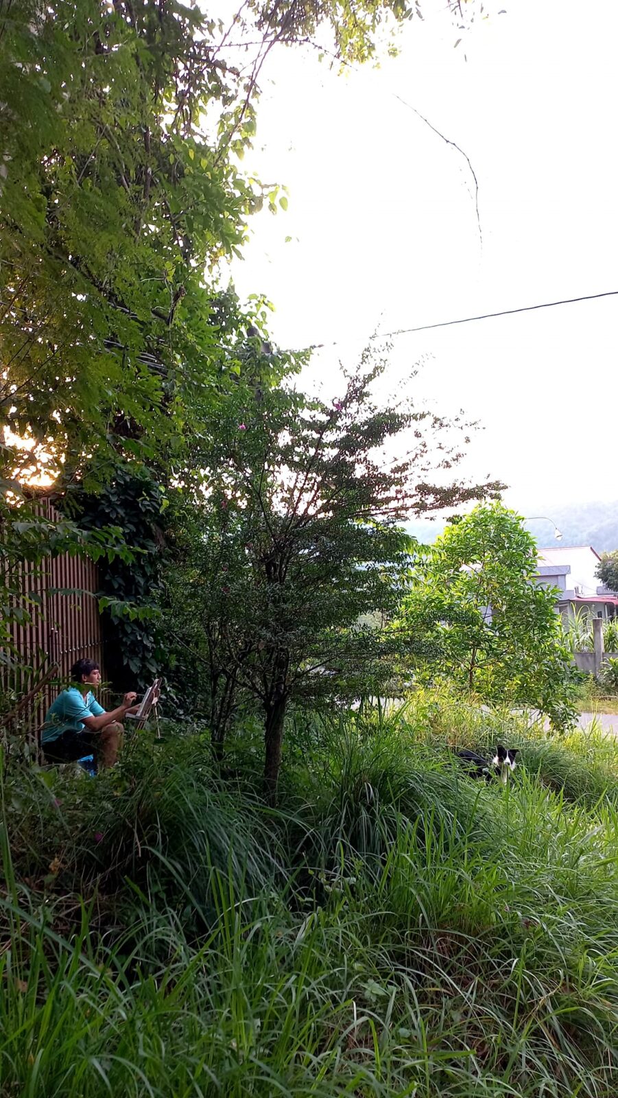 Họa sĩ đường làng và những tên lính canh! - Stone Hill Farm